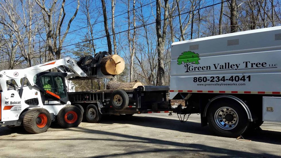 North Windham Tree Service - (860) 234-4041- Green Valley Tree LLC